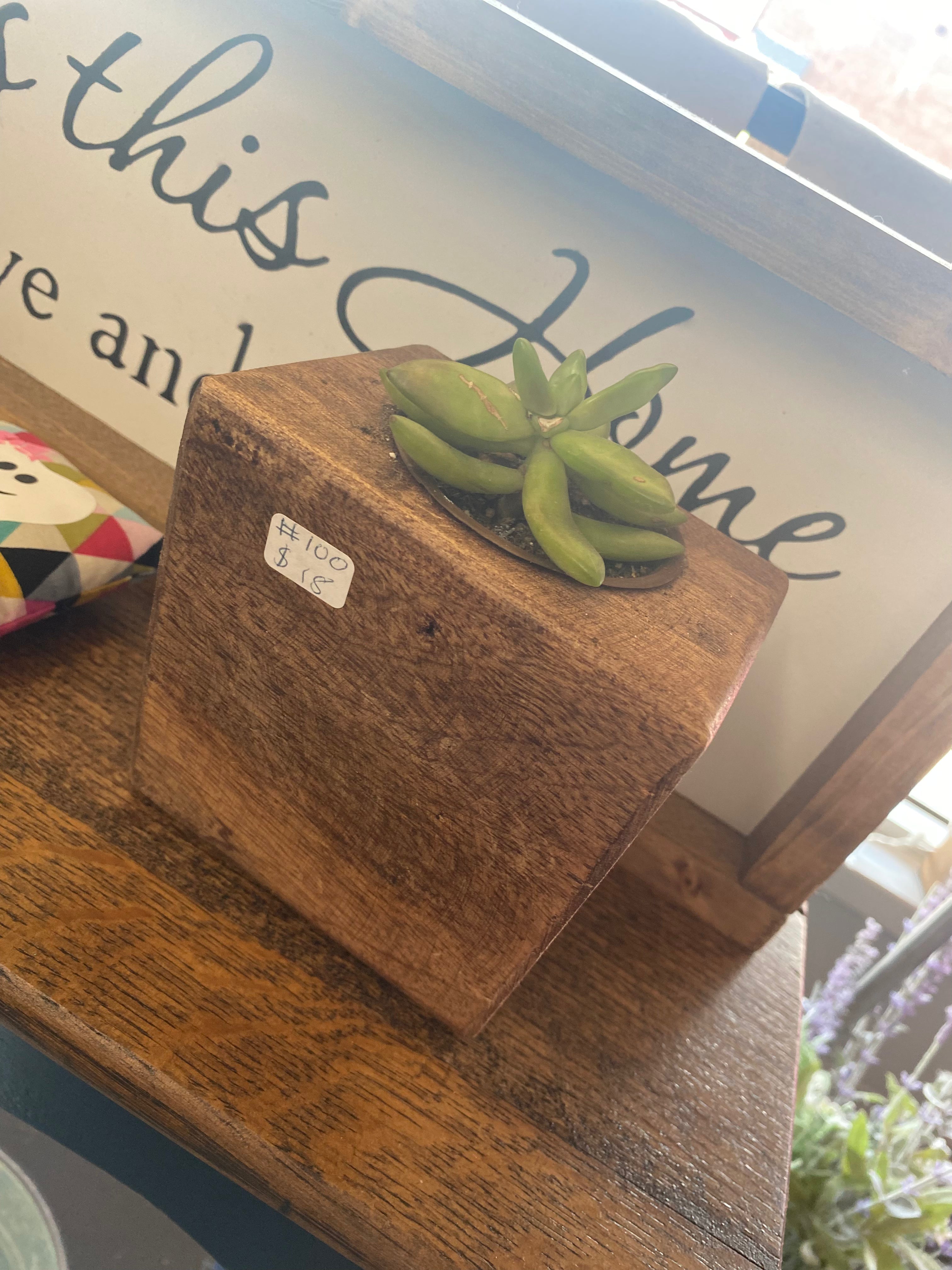 Home Decor – Sassy Sunflower Boutique LLC